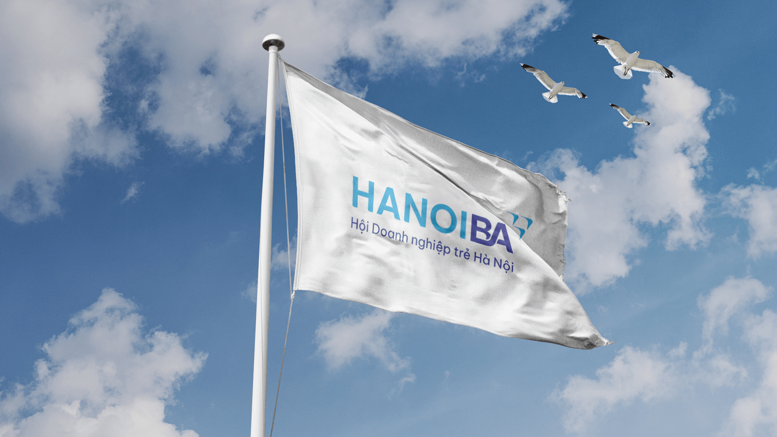 Giới thiệu - HANOIBA Brandbook